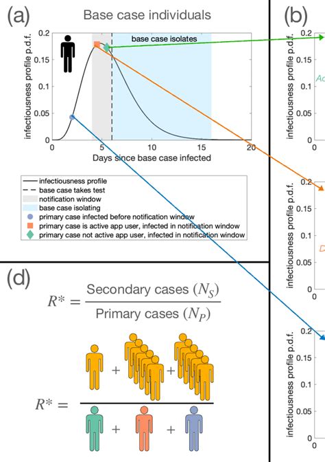 schematic of the modelling approach a the infectiousness of a base