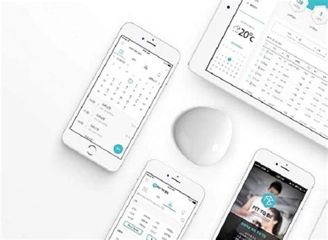 [핏투비] 웹 모바일 ux ui 디자이너 채용 공고 원티드