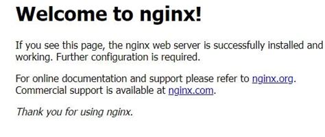 Twelve Easy Steps To Installing An Nginx Server Through The User Data