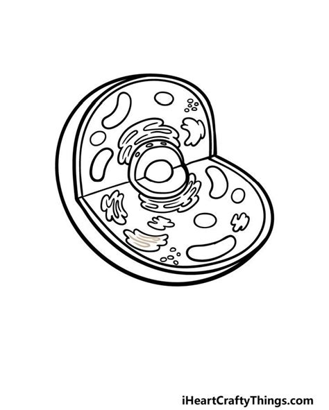 20 Easy Cell Drawing Ideas How To Draw A Cell