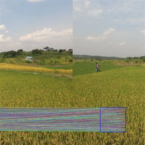 Feature Matching Between Bounding Box On Either Image Download