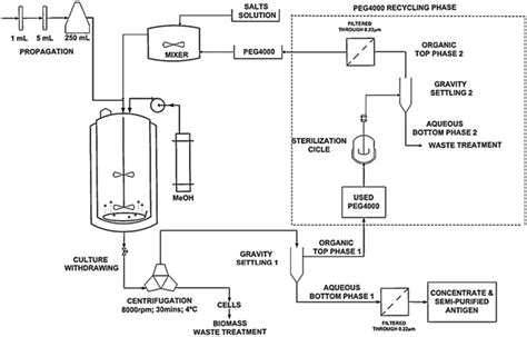 Bioprocess Flowchart Showing The Semicontinuous Operation For The Download Scientific Diagram