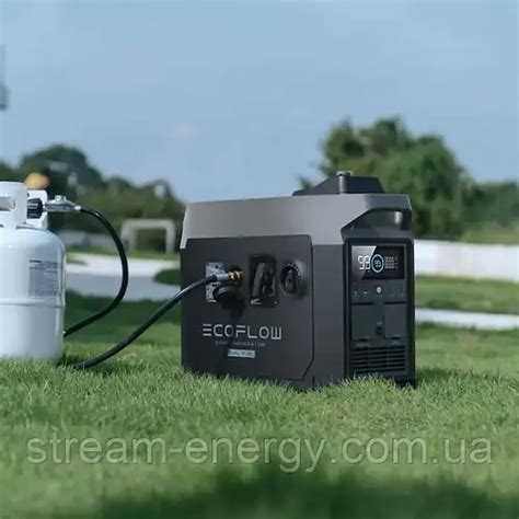 Двухтопливный Генератор EcoFlow Smart Generator (газ-бензин) для ...