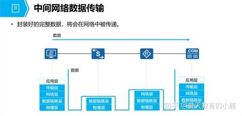 华为认证数通hcia datacom学习笔记——网络参考模型 知乎