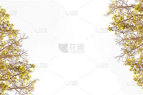 带有文本空间的框架树