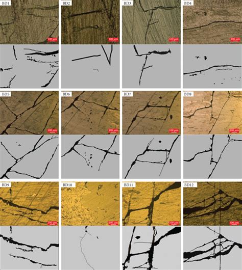 Coal Fracture Distribution In The Samples Download Scientific Diagram