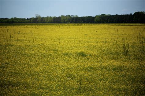 Elevation Of Gloucester County Va Usa Topographic Map Altitude Map