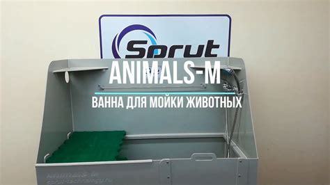 Ванна для мойки животных Animals-M. Ванна для груминга. - YouTube
