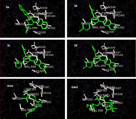 Interaction Of Ligand Molecules 3a 3b 3c 3d Amo Gent With