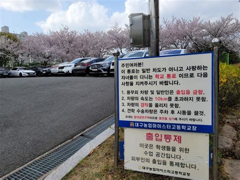 대구 시지 농업마이스터고 정문 무료 주차장 벚꽃 나들이하고 스타벅스 봄딸기 라떼와 딸기 요거트 사이즈업 네이버 블로그