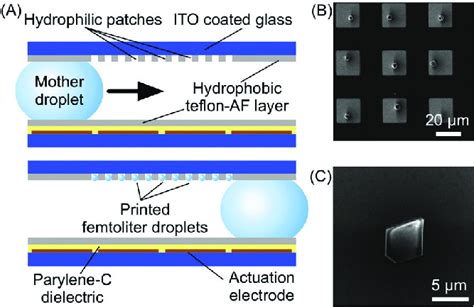 A Schematic Illustration Of The Digital Microfluidic Device Used In Download Scientific