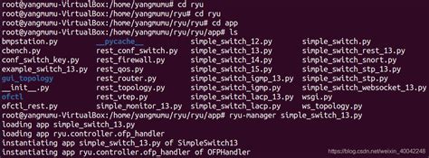 open vswitch 流表控制主机数据转发实验（二） ryu匹配任意tcp目的端口号 csdn博客