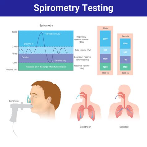 Spirometry Overview And Practice Questions 2025