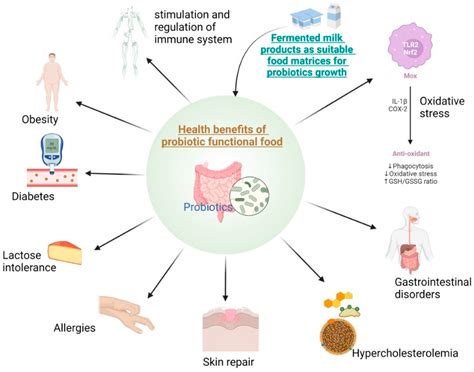 Food Produced By Bacterial Fermentation Of Milk At Quincy James Blog