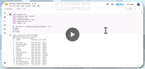 dataanalysis internship cognifyztechnologies python eda… ramya r