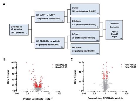 Integrated Transcriptomic And Proteomic Analyses Uncover Regulatory