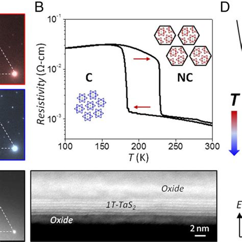 Nc C Cdw Phase Transition In Bulk 1t Tas 2 And Cdw Suppression By Download Scientific Diagram