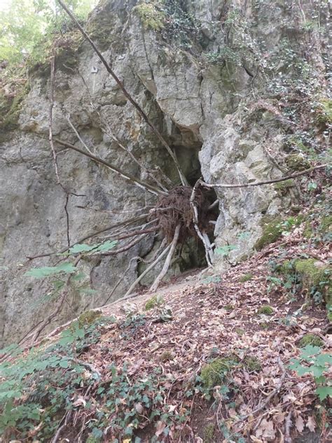 weird structure i found on a walk r weird