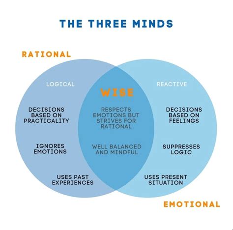 Balancing The Scales Navigating Between The Reasonable Emotional And Wise Minds Proudly