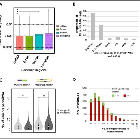 Schematic Of Mirna Sequence Domains And High Confidence Annotations