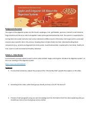 Digestive Case Study 2.pdf - Background Information The organs of the digestive system are the ...