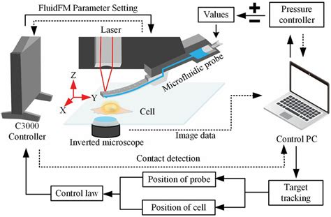 the flowchart of visual servo based alignment for cell manipulating