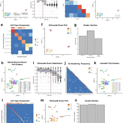 chooser recovers annotated cell types in datasets of varying size and