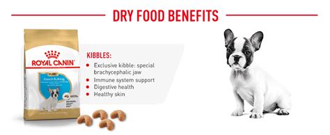 Royal Canin French Bulldog Puppy Dry Food 10kg - Royal Canin - Dry Dog ...