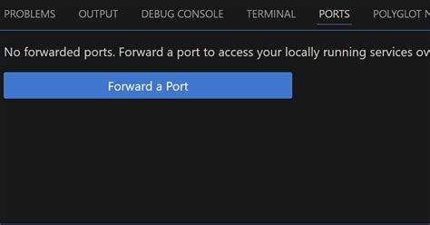 Vscode Expose A Local Api Publicly Using Port Forwarding