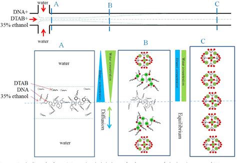 Figure 3 From On Chip Controlled Surfactant Dna Coil Globule Transition By Rapid Solvent
