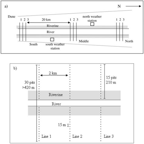 Schematic Layout Of Pitfall Traps Used To Sample Small Vertebrates Download Scientific Diagram