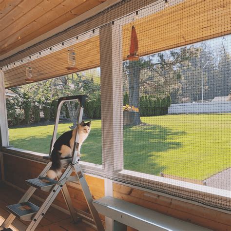 Cat Netting By The Metre Black Catnets Singapore