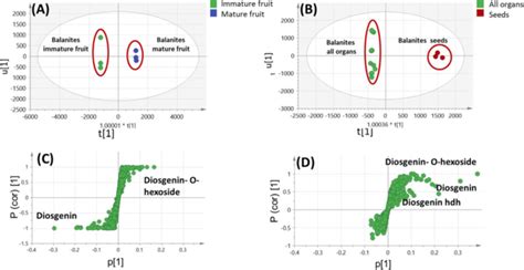 Uplc Ms Based Opls Da Score Plot A Derived From Modeling Balanites