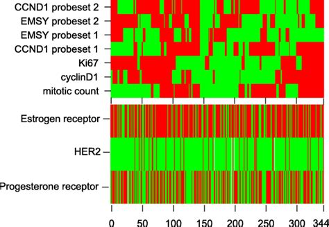 heat map representing unsupervised hierarchical clustering of tumor