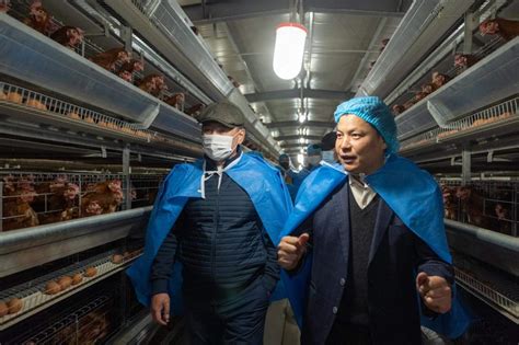 Монгол Улсын Ерөнхийлөгч У Хүрэлсүх хүнс үйлдвэрлэгчидтэй уулзаж тариалангийн бүс нутагт