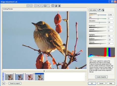 Unleashing Creative Power Harnessing The Potential Of RAW Camera Files