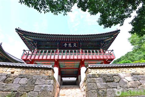 전남 순천시 순천만국가정원 등 여행지