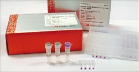 코로나 진단 20분내 끝낸다dgist 엠모니터와 진단키트 개발