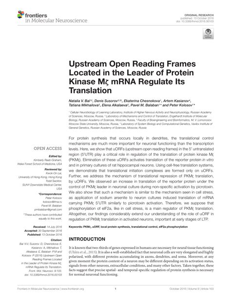 Pdf Upstream Open Reading Frames Located In The Leader Of Protein