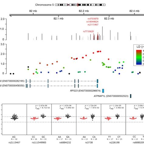 Mapping Of Variants Associated With Differential Allelic Expression
