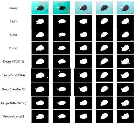 Neural Network For Underwater Fish Image Segmentation Using An Enhanced Feature Pyramid