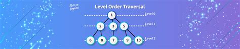 Level Order Traversal Of Binary Tree Scaler Topics