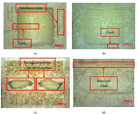Microscopic Analysis Of The Samples A 60 Circular Pla Birch B Download Scientific