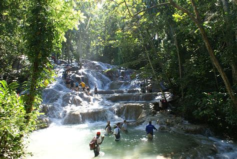 Dunns River Falls Wikipedia Wolna Encyklopedia