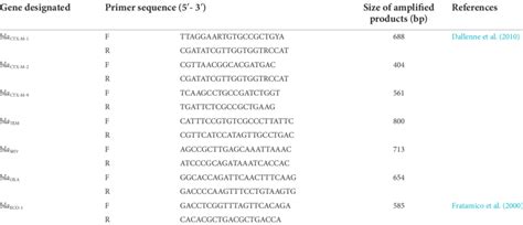Details Of Primers For Amplification Of Esbl Bla Tem Bla Shv Bla Download Scientific