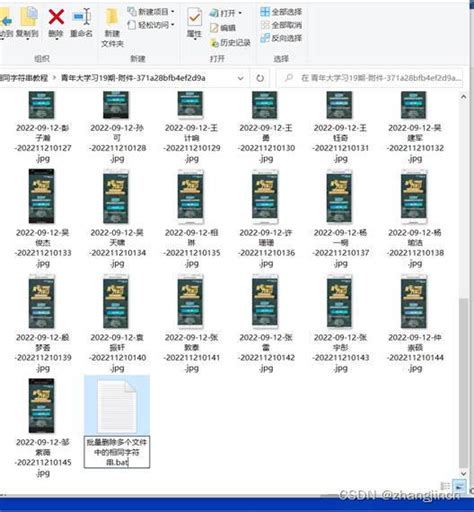 批处理命令的应用——批量删除多个文件名中的相同字符串 bat批量删除部分文件名 csdn博客