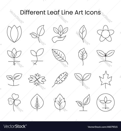 Leaf Icon Set Outline For Nature Design Elements Vector Image