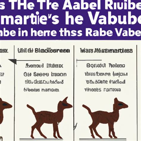 When Was The Rabies Vaccine Invented A History And Overview The