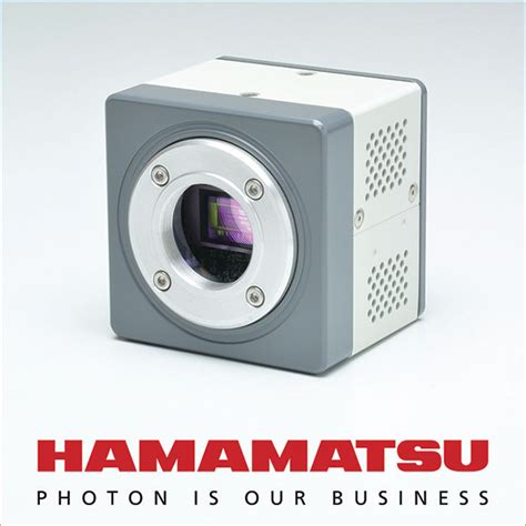 Ingaas Linear Image Sensor Hamamatsu Corporation Nov 2022