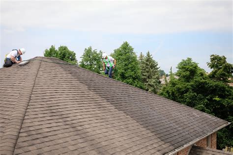 Shingle Replacement Alternative In Toronto Rooflife